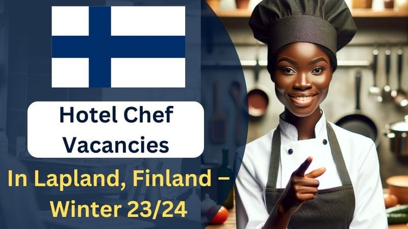 Hotel Chef Job in Lapland, Finland – Winter 24/25
